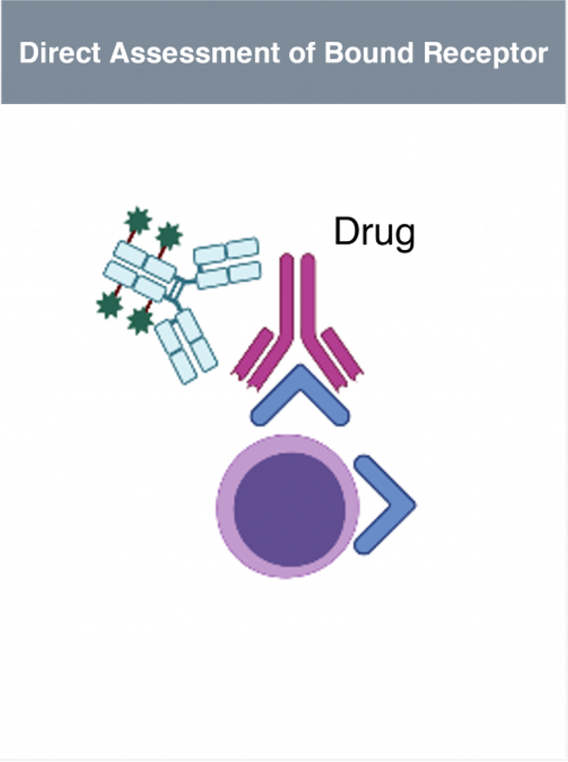 Receptor Occupancy Assay by Flow Cytometry | Precision for Medicine