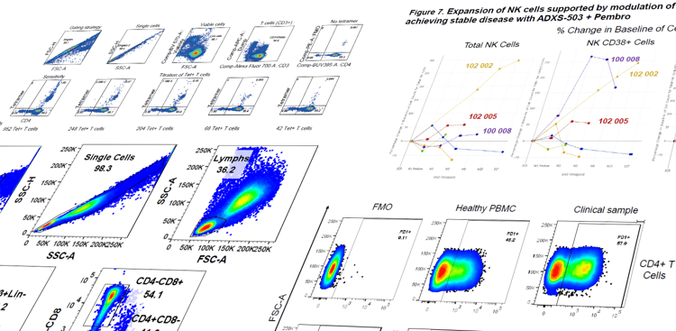 Pharmacokinetic (PK) Assays | Precision for Medicine