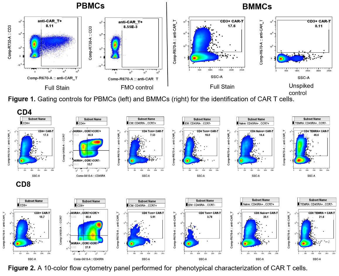 Flow Cytometry in Cell Therapy | Precision for Medicine