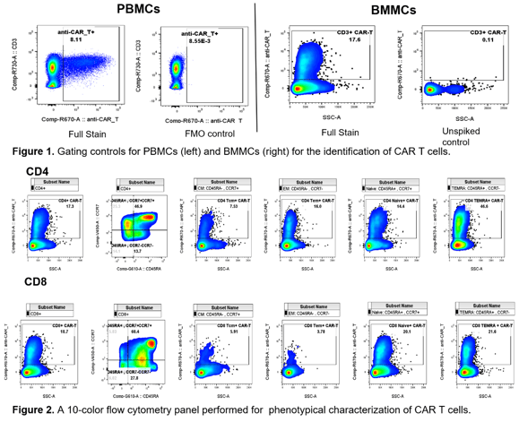 Flow Cytometry in Cell Therapy | Precision for Medicine