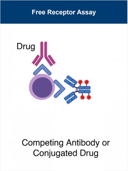 Receptor Occupancy Assay by Flow Cytometry | Precision for Medicine