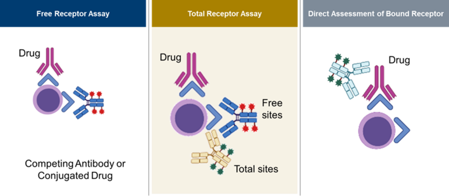The Power of Flow Cytometry in Biomarker-Driven Clinical Trials