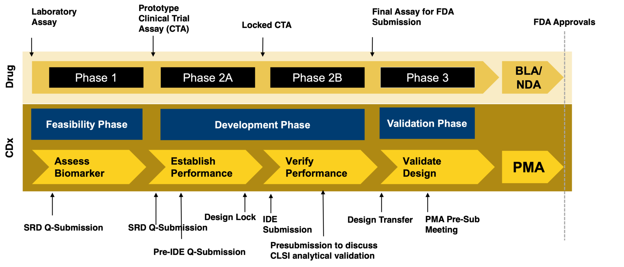 Companion Diagnostics: Key Considerations for Registrational Studies ...