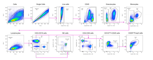 The Power of Flow Cytometry in Biomarker-Driven Clinical Trials