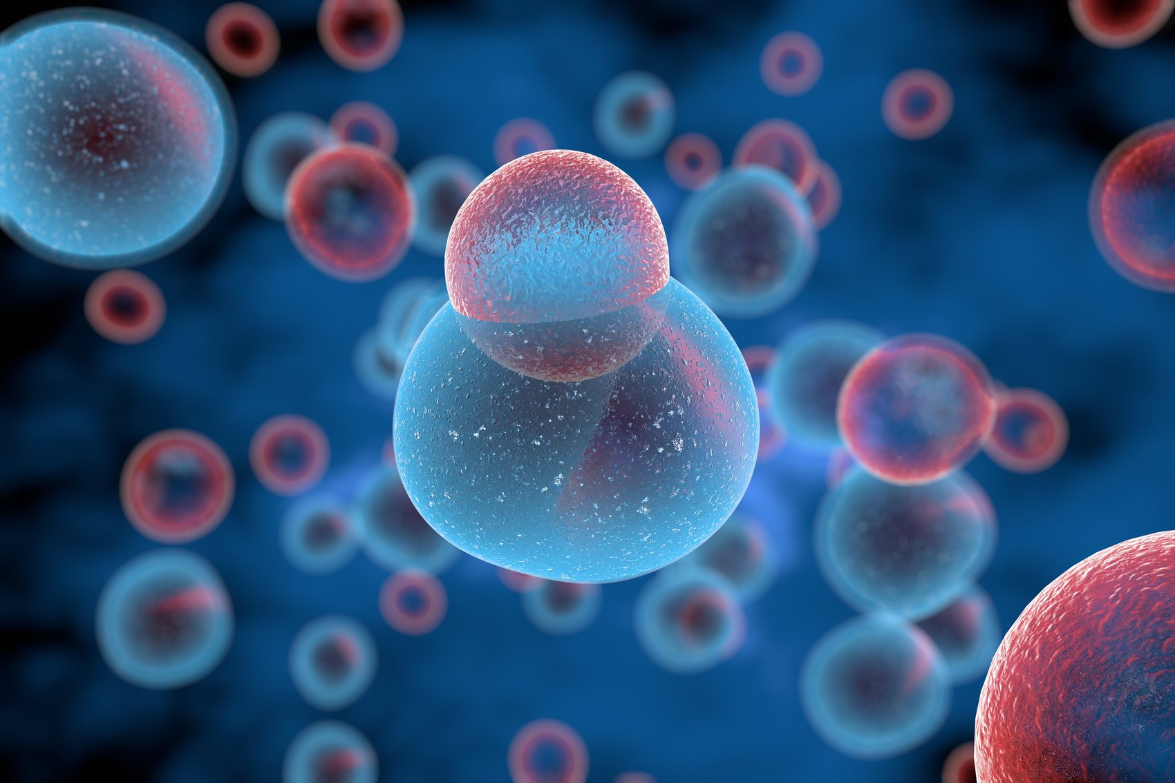 PBMC and Specimen Processing Services | Precision For Medicine