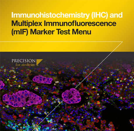 Optimizing Immunohistochemistry Validation and Regulatory Strategies