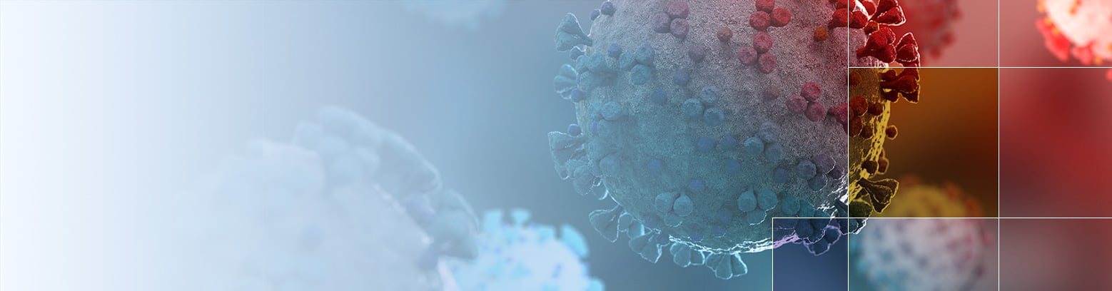 Pharmacokinetic (PK) Assays | Precision for Medicine