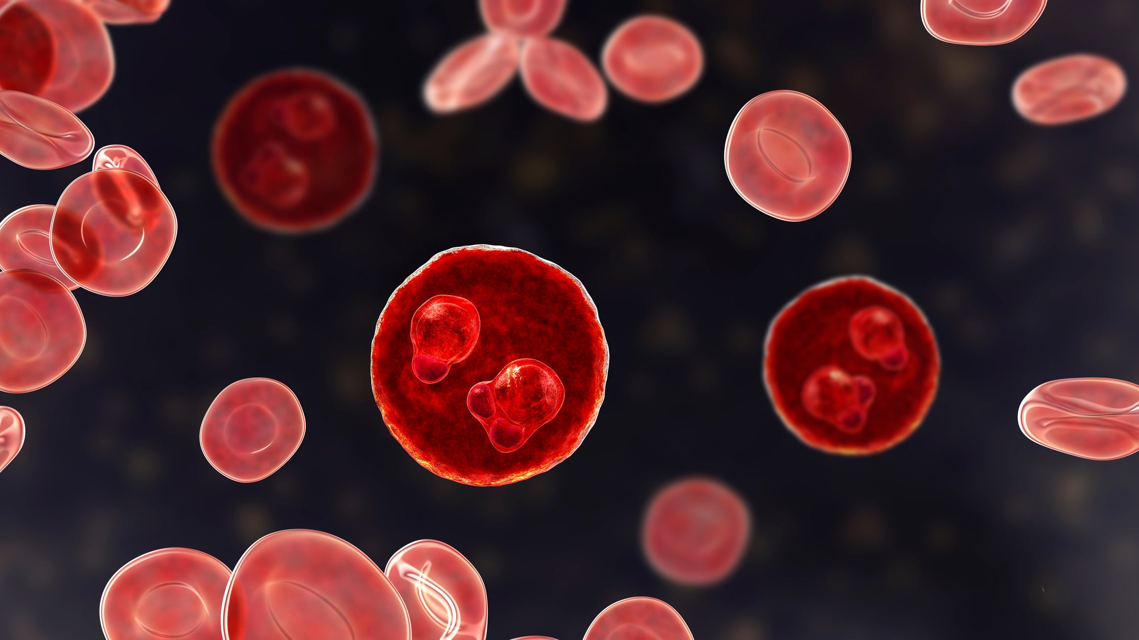 Human Plasma | Precision for Medicine