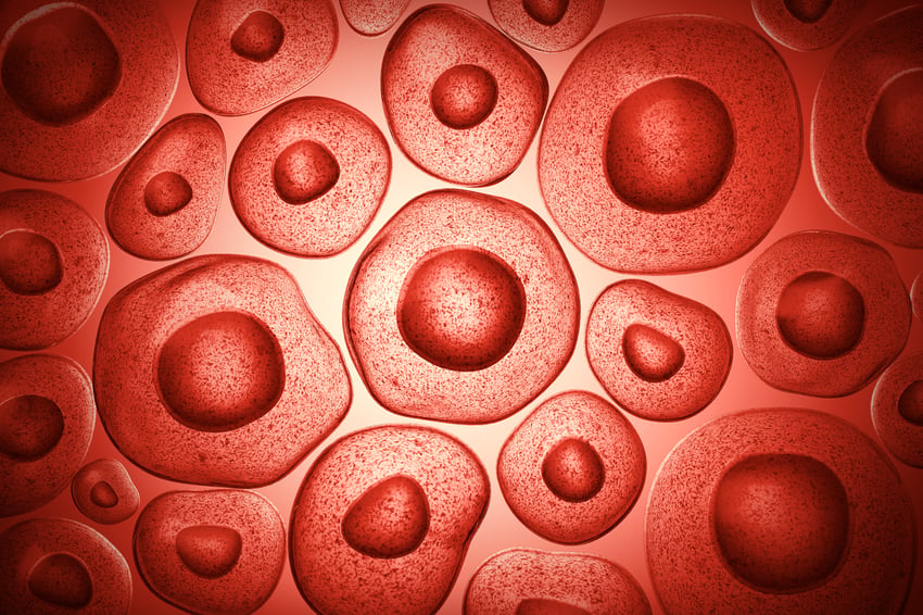 Human Blood Samples and Biofluids | Precision for Medicine