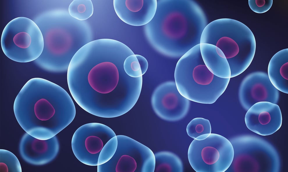 Case Study: Conducting Autologous Cell Therapy Research Across 3 ...