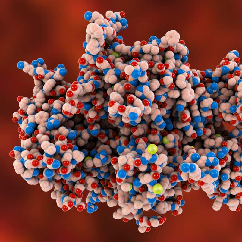 Meso Scale Discovery (MSD) Assay Services | Precision for Medicine
