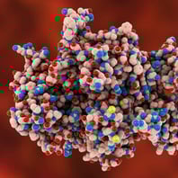 Pharmacokinetic (PK) Assays | Precision for Medicine