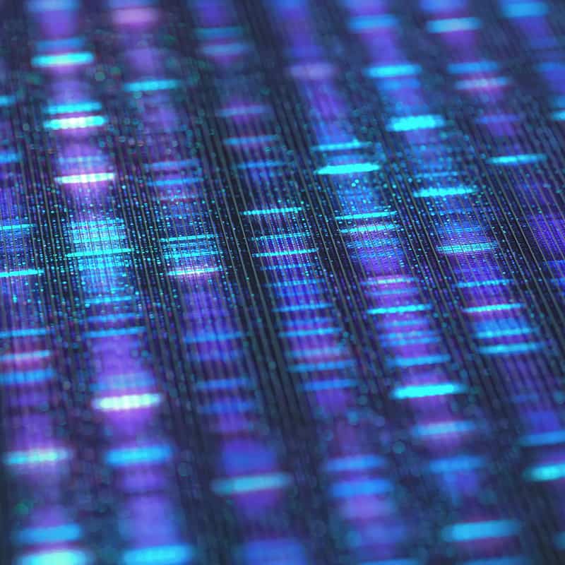 Pharmacokinetic (PK) Assays | Precision for Medicine