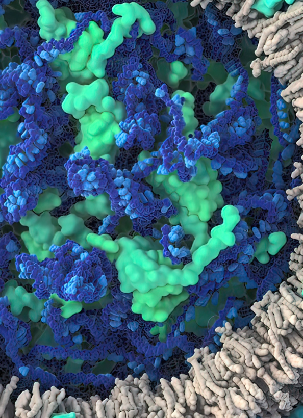 High Quality Human Biospecimens | Precision for Medicine