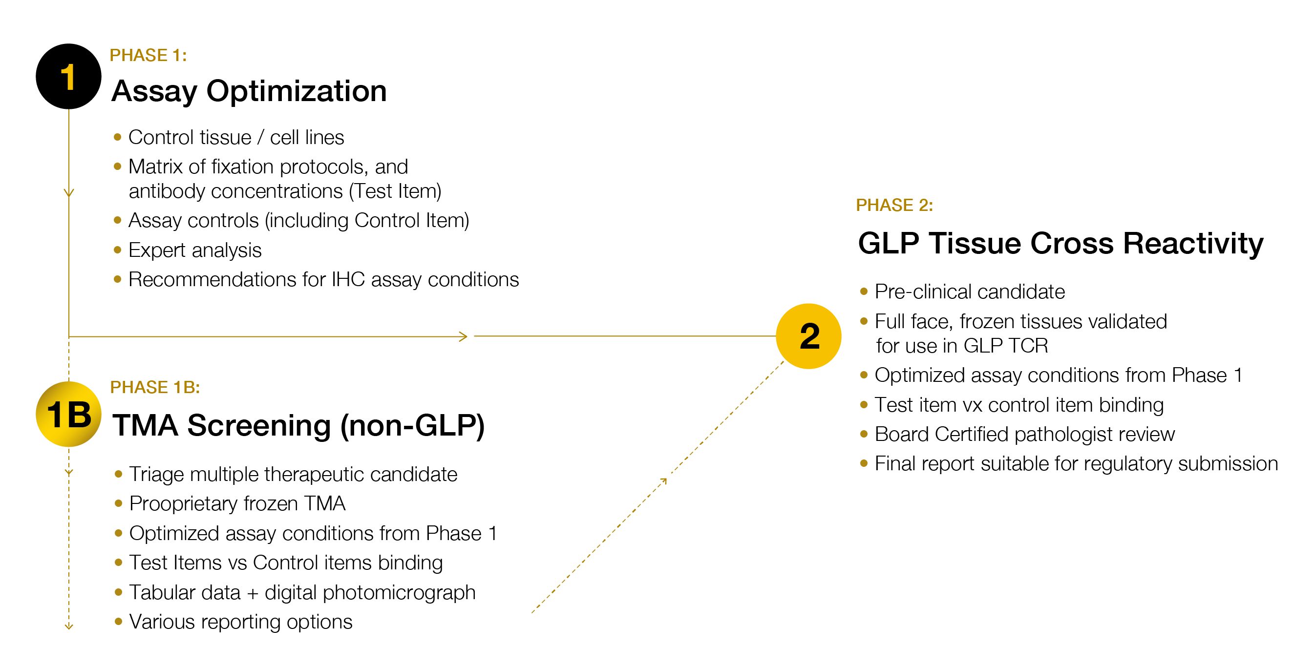 Tissue Cross-Reactivity Studies | Precision For Medicine