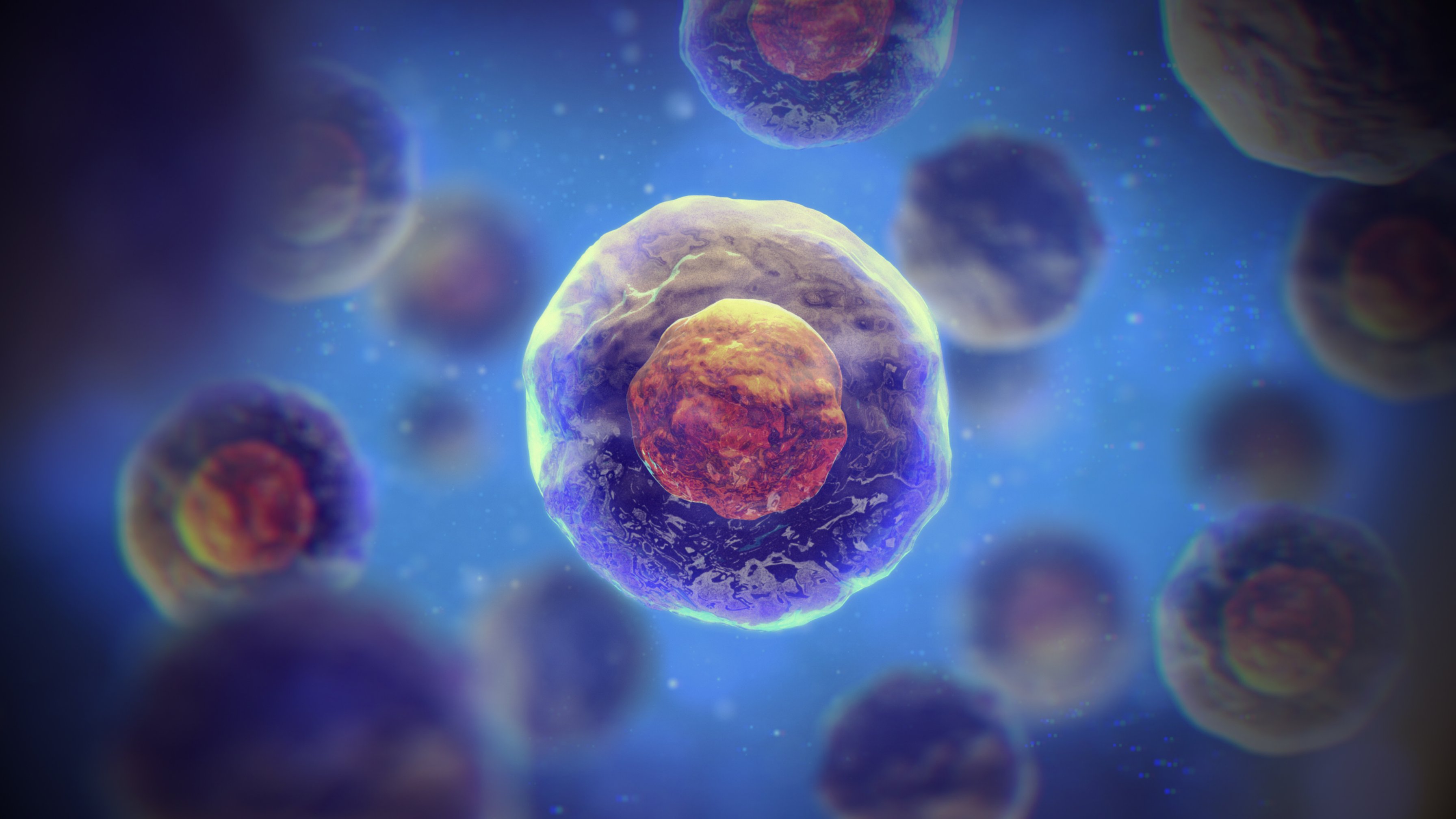 Bone Marrow Mononuclear Cells | Precision for Medicine