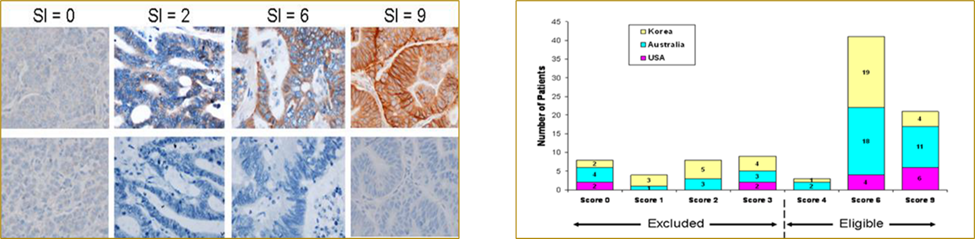 Immunohistochemistry in Precision Medicine: From Biomarker to Clinical ...