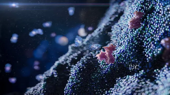 Immuno-modulatory with Flow Cytometry-Based Receptor Occupancy Assays